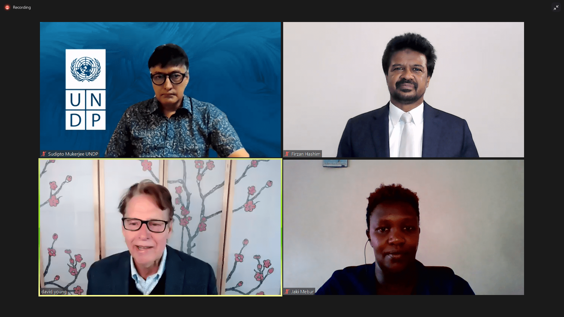 Humanitarian Networks and Partnerships Week 2021 – Asia Pacific ...